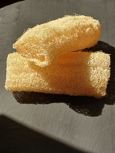 Luffa Exfoliating Body Scrubber