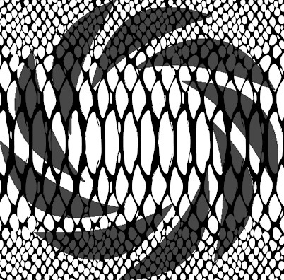 Snakeskin 1 Stencil Pack | Weapon Works LLC