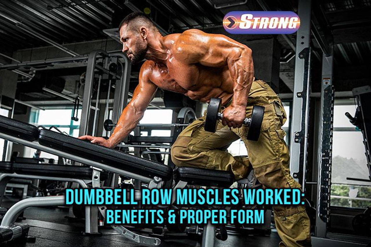 Dumbbell Row Muscles Worked: Benefits and Proper Form - Strong Supplement Shop