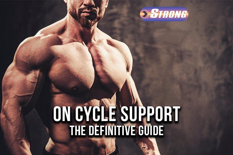 On Cycle Support: The Definitive Guide - Strong Supplement Shop