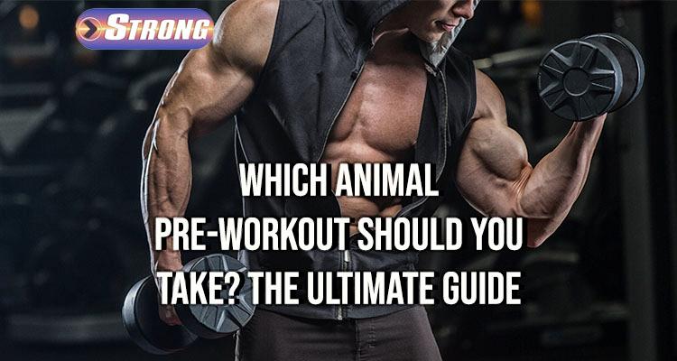 Which Animal Pre-Workout Should You Take? The Ultimate Guide - Strong ...