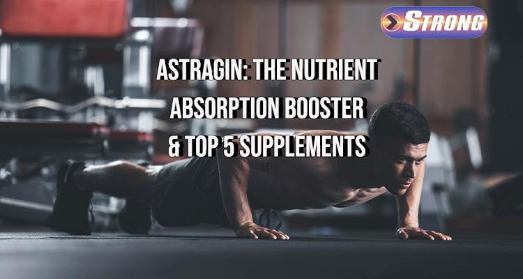 AstraGin: The Nutrient Absorption Booster & Top 5 Supplements - Strong Supplement Shop