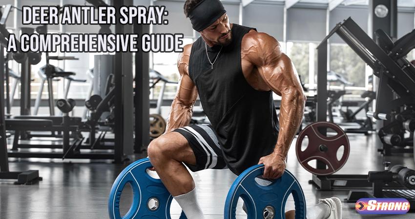 Deer Antler Spray: Essential Guide for Strength and Recovery - Strong ...