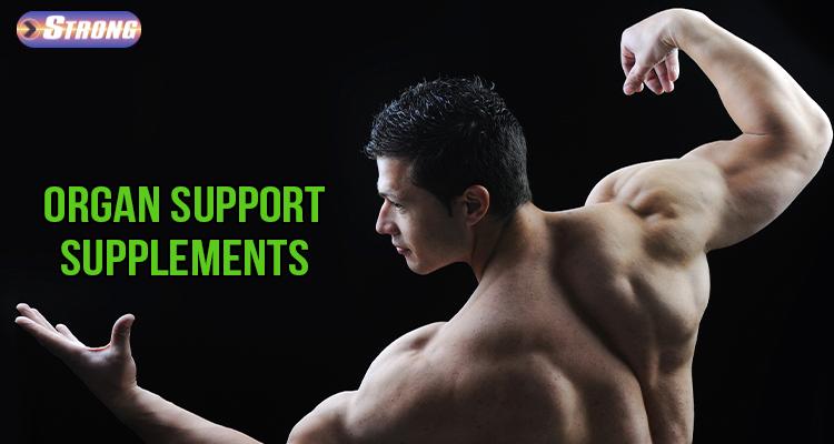 Organ Support Supplements - Strong Supplement Shop