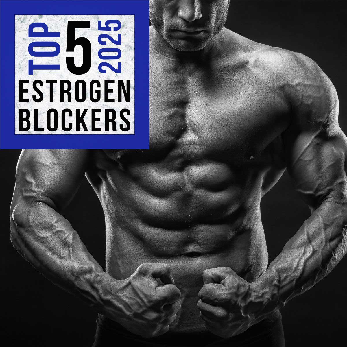 Top 5 Estrogen Blockers 2025 - Strong Supplement Shop