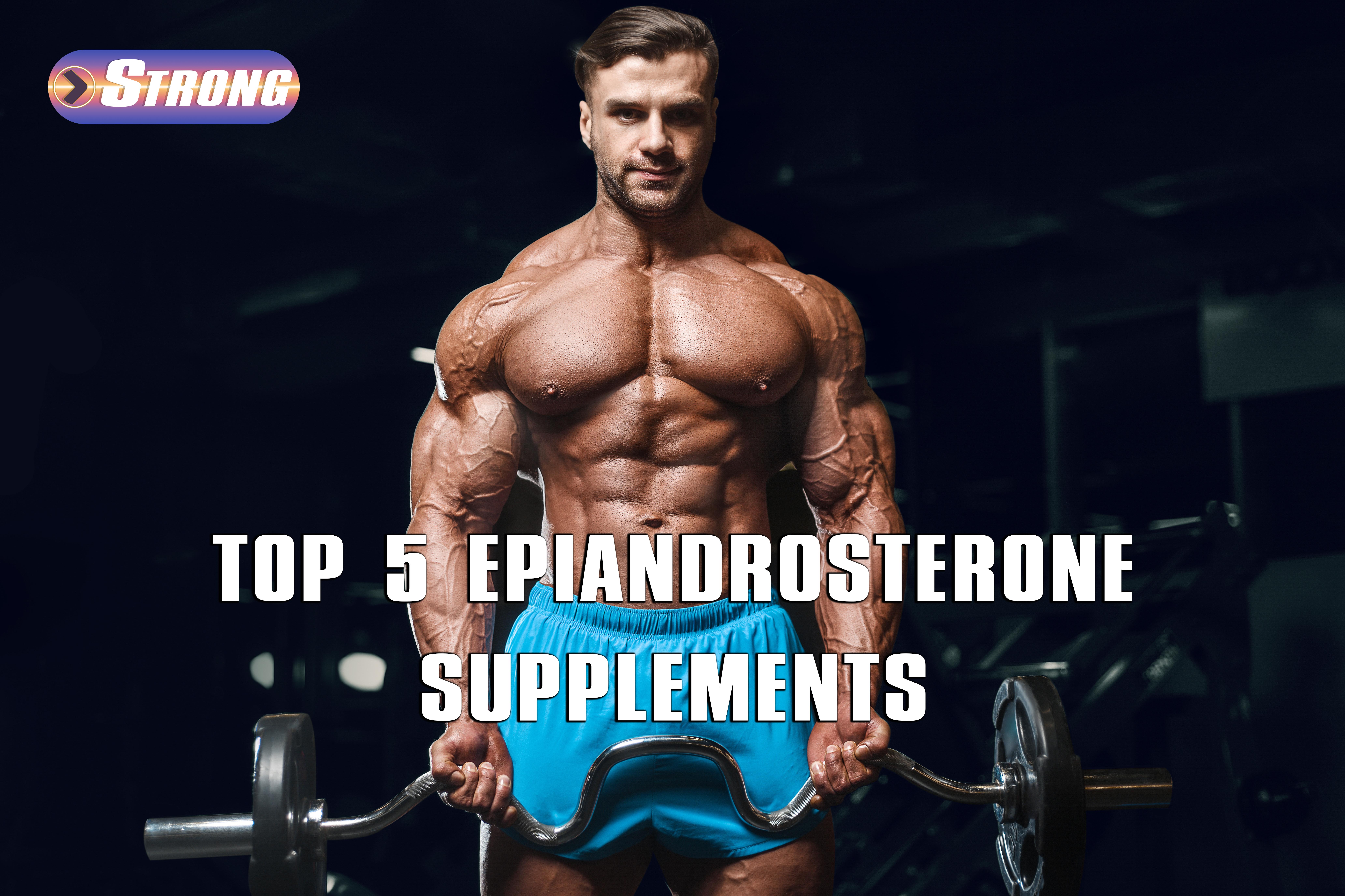 Top 5 Epi Andro Supplements For Fitness and Bodybuilding - Strong ...