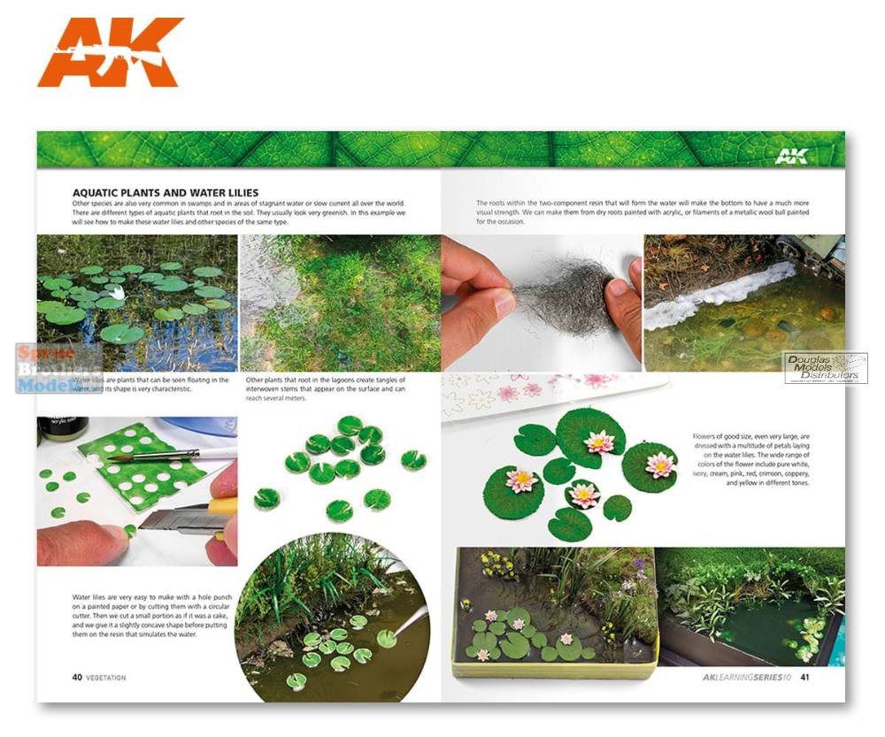 AKI000295V4 AK Interactive Learning 10: Mastering Vegetation in ...