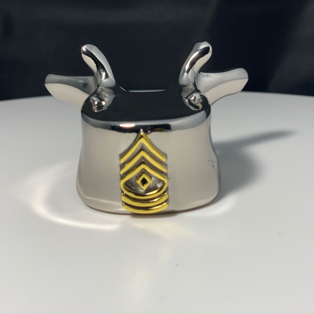 CPL Vertebra - 923A Coins and Designs