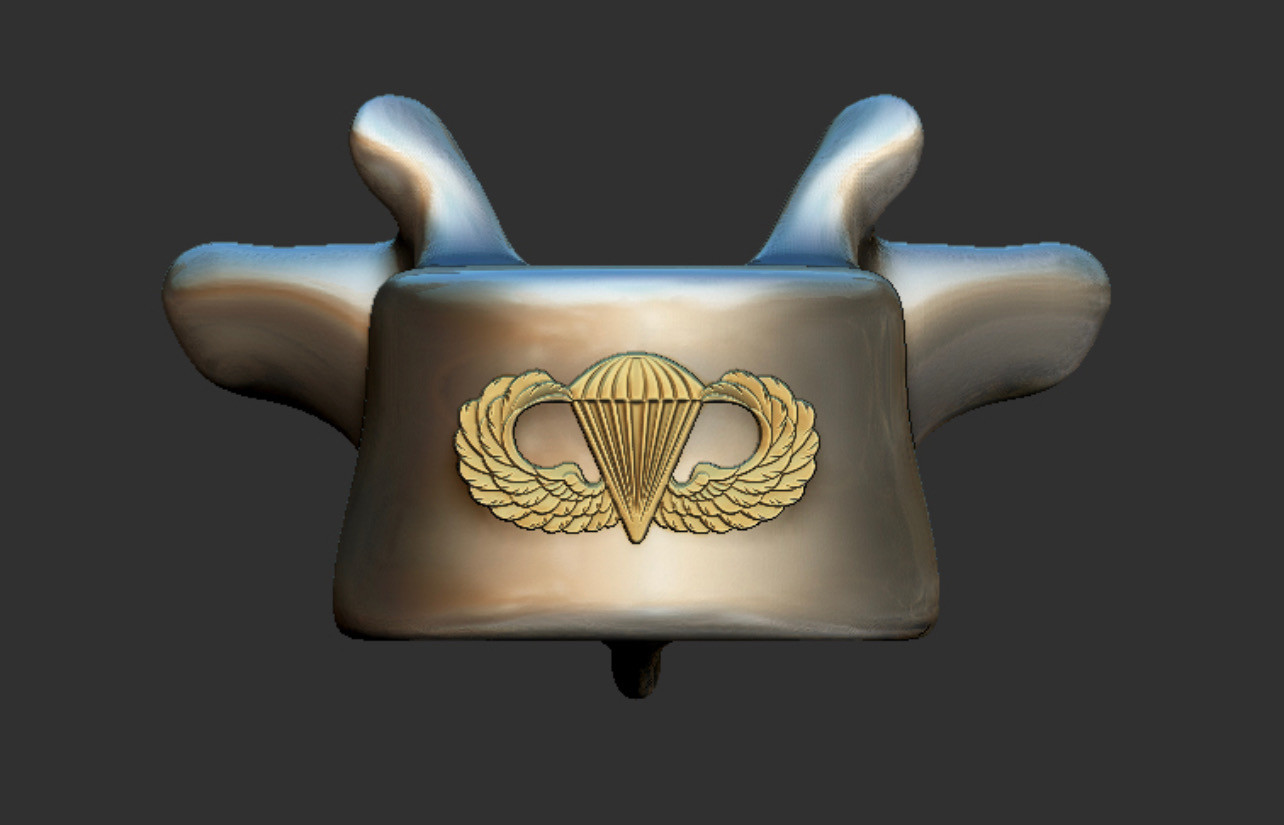NCO Backbones and Vertebrae