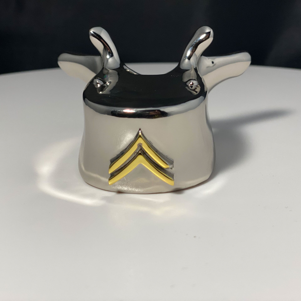 CPL Vertebra - 923A Coins and Designs