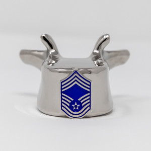 NCO Backbones and Vertebrae
