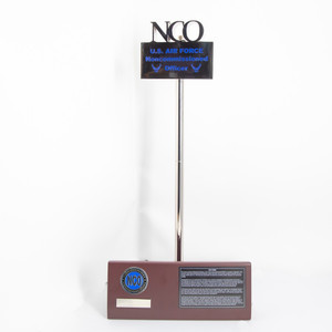 NCO Backbones and Vertebrae