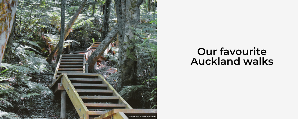 Popular Auckland Walks - New Zealand Natural Clothing Ltd