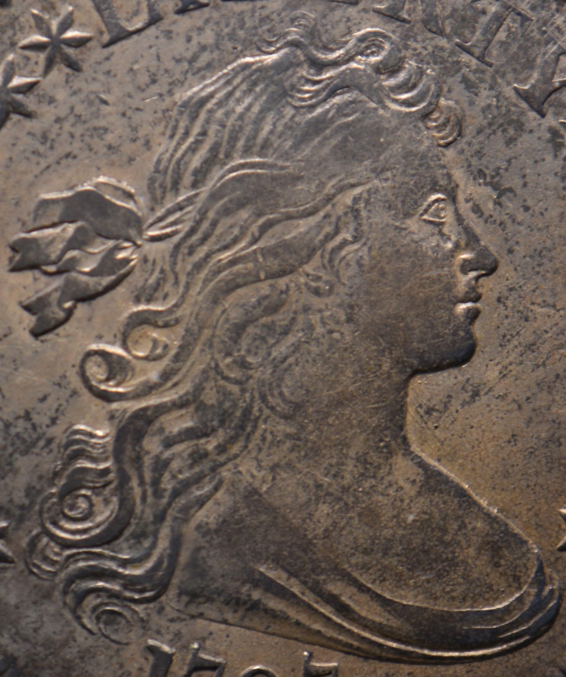 Rare Bird Coins
