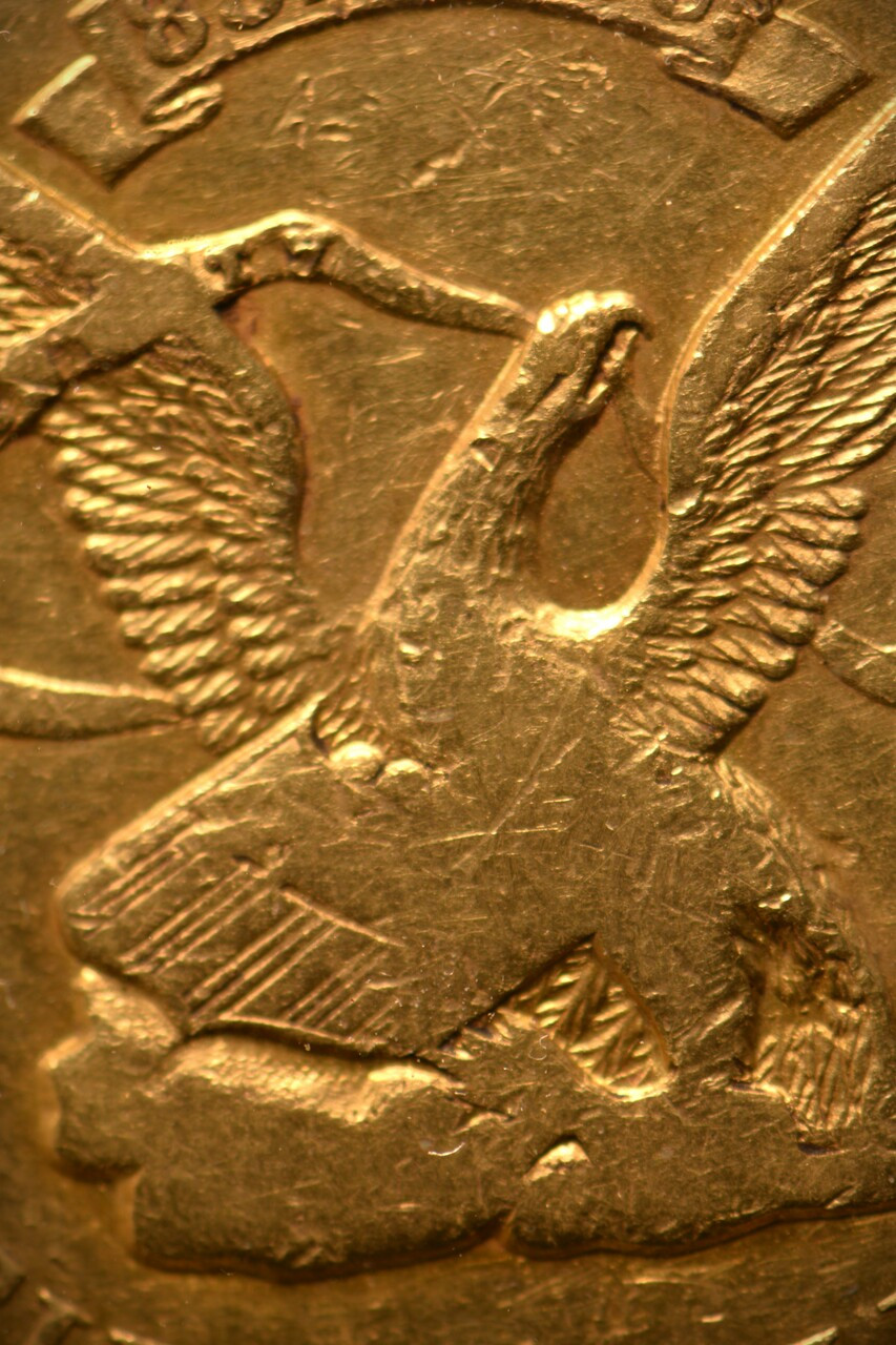 Rare Bird Coins