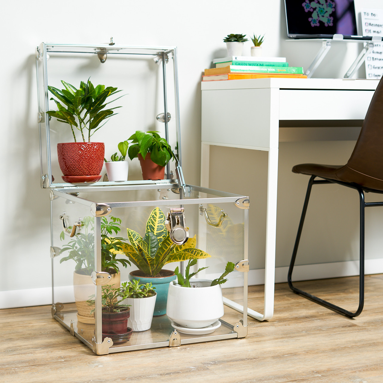 Rhino Acrylic Cube Trunk