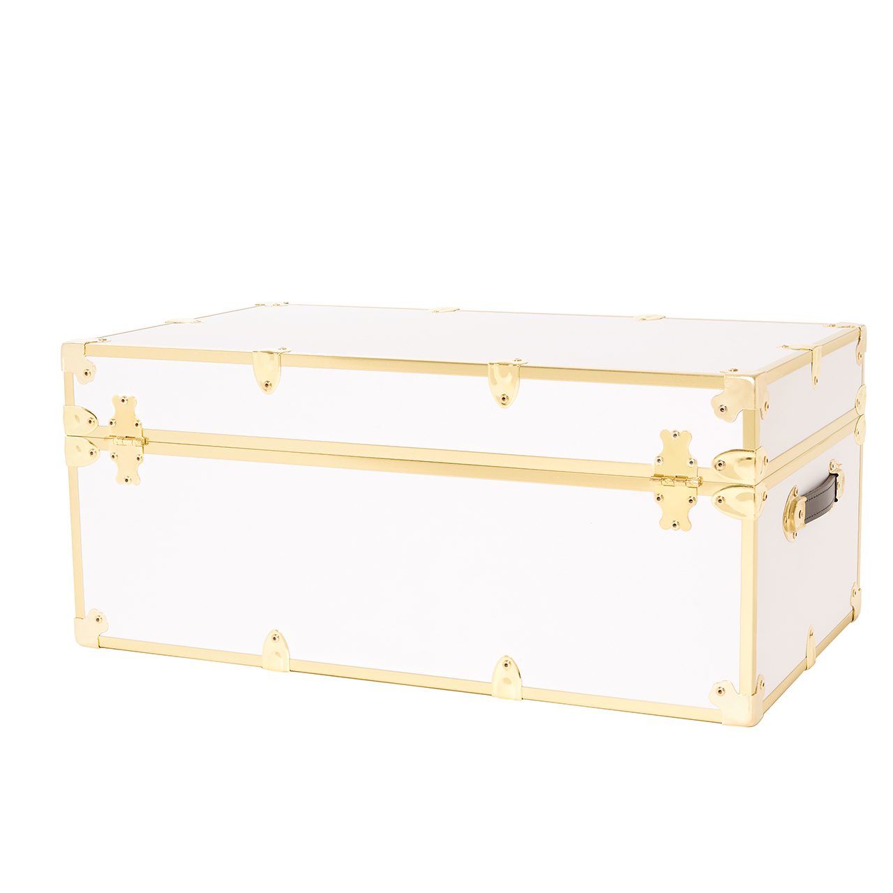 Large Rhino Dorm Trunk