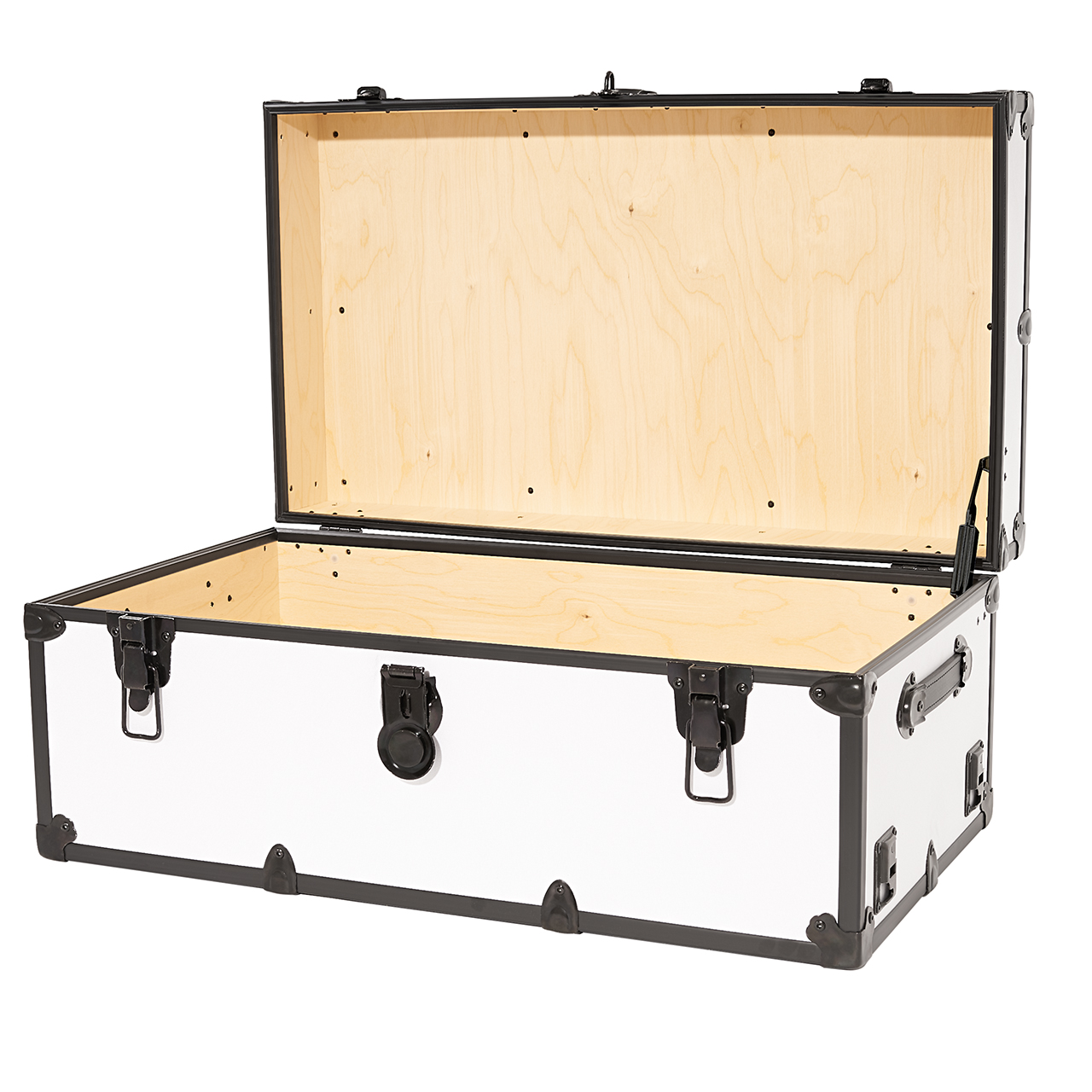 Large Rhino Dorm Trunk