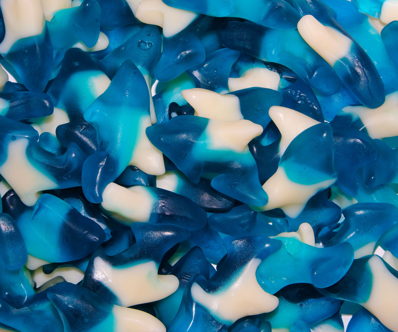 Blue Gummy Sharks
