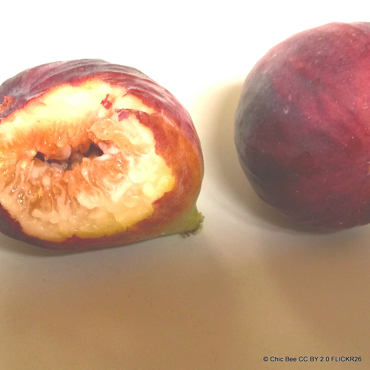 Ficus 'Desert King' 3L - Bunkers Hill Plant Nursery