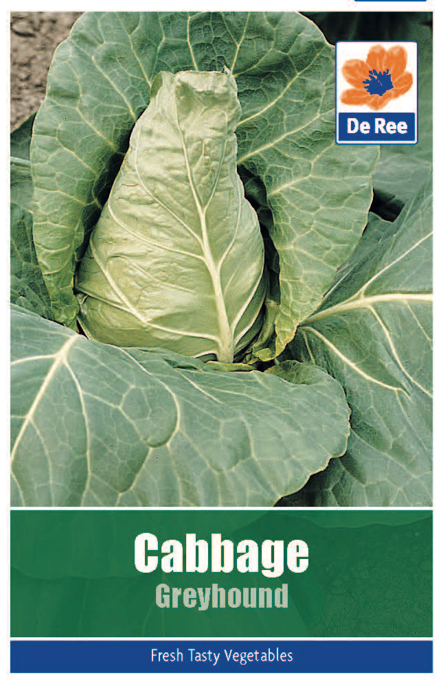 Cabbage 'Greyhound' Seeds - Bunkers Hill Plant Nursery