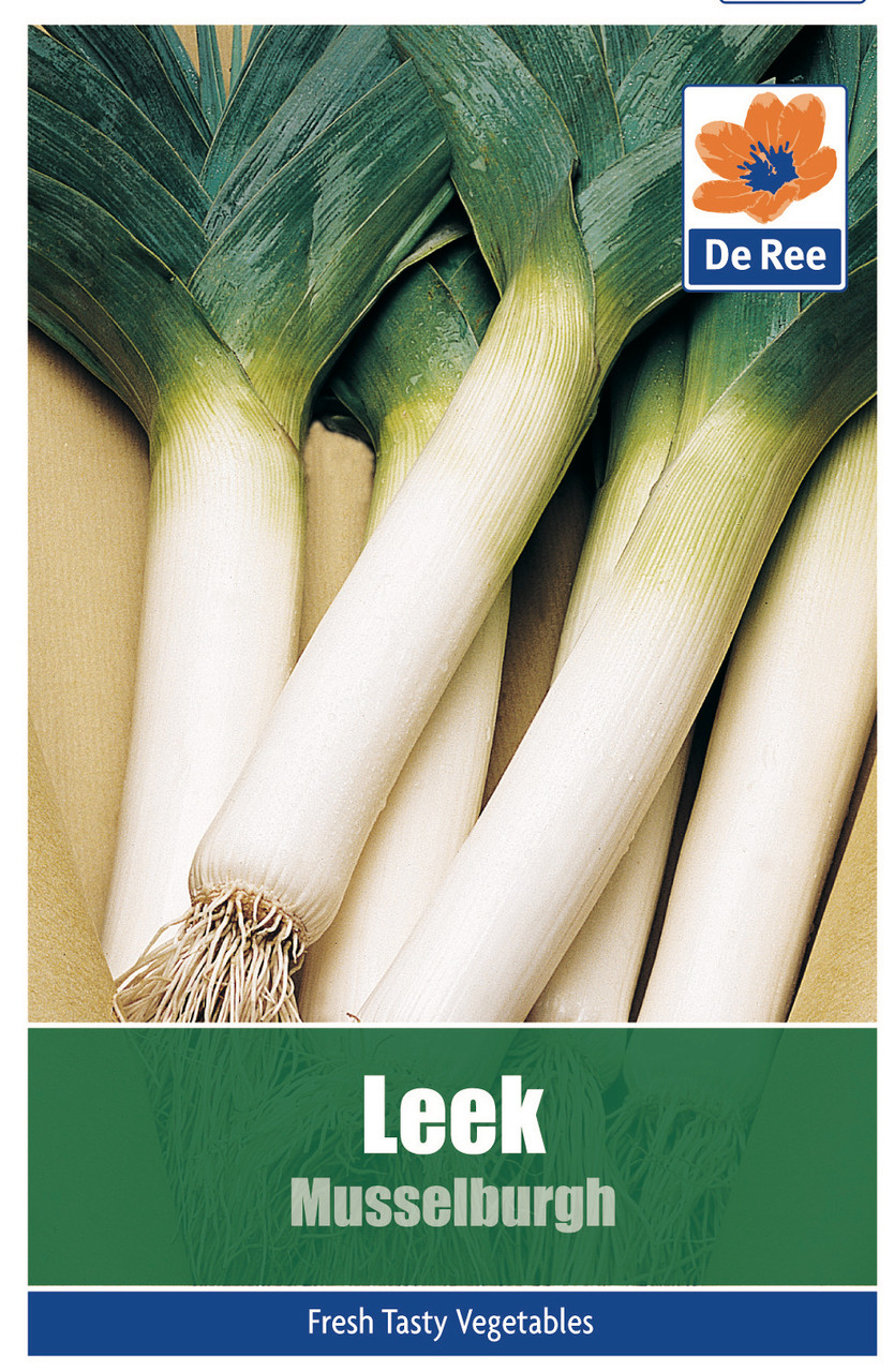 Leek 'Musselburgh' Seeds - Bunkers Hill Plant Nursery