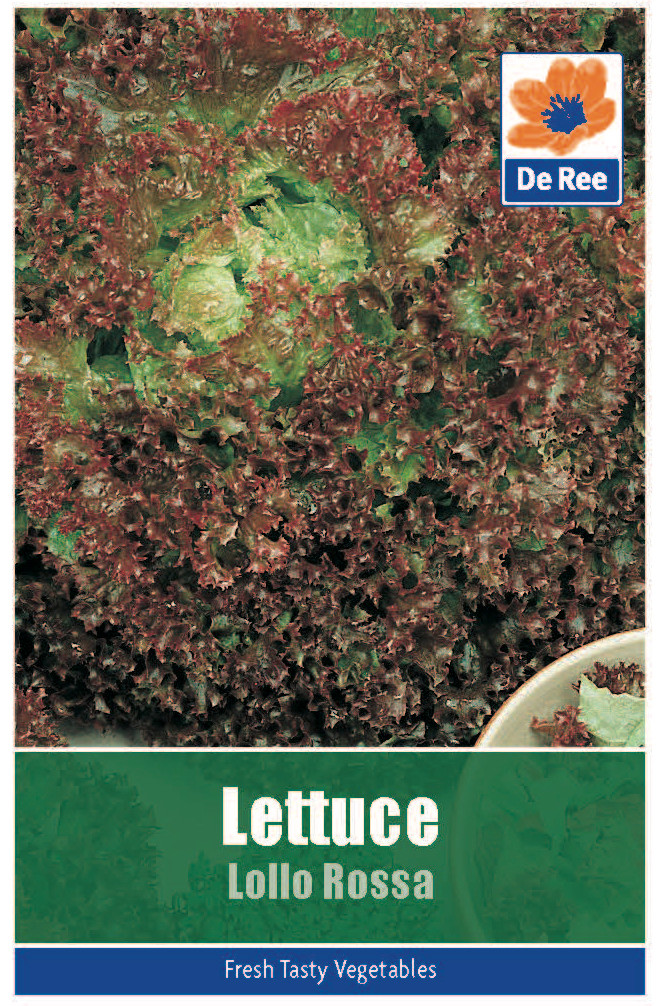 Lettuce 'Lollo Rossa' Seeds - Bunkers Hill Plant Nursery