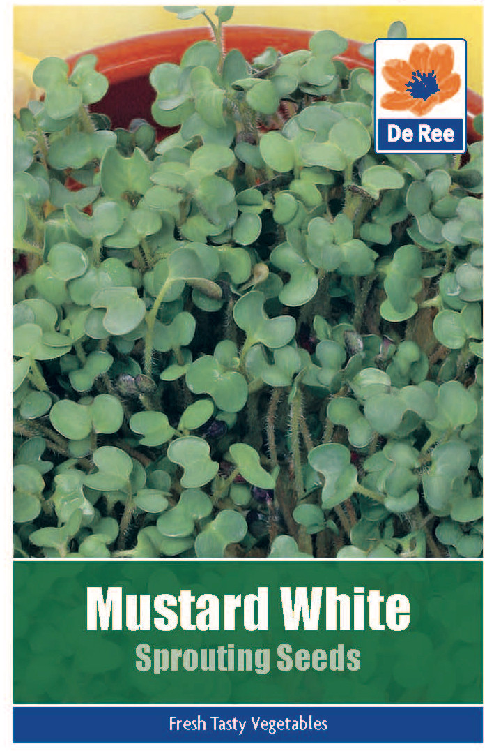 Mustard White Sprouting Seeds - Bunkers Hill Plant Nursery