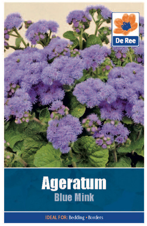 Ageratum 'Blue Mink' Seeds - Bunkers Hill Plant Nursery