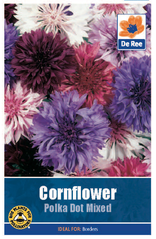 Cornflower Polka Dot seeds - Bunkers Hill Plant Nursery