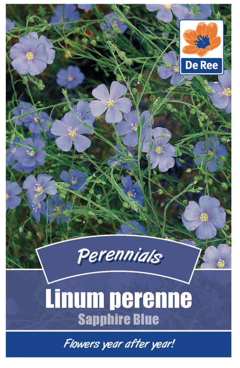 Linum Perenne 'Sapphire Blue' Seeds - Bunkers Hill Plant Nursery