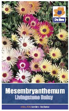 Mesembryanthemum Seeds - Bunkers Hill Plant Nursery