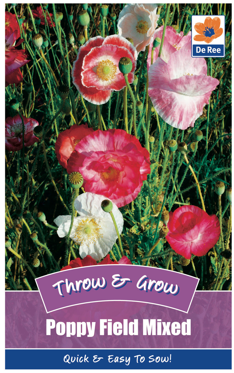 Poppy Field Mixed Seeds - Bunkers Hill Plant Nursery