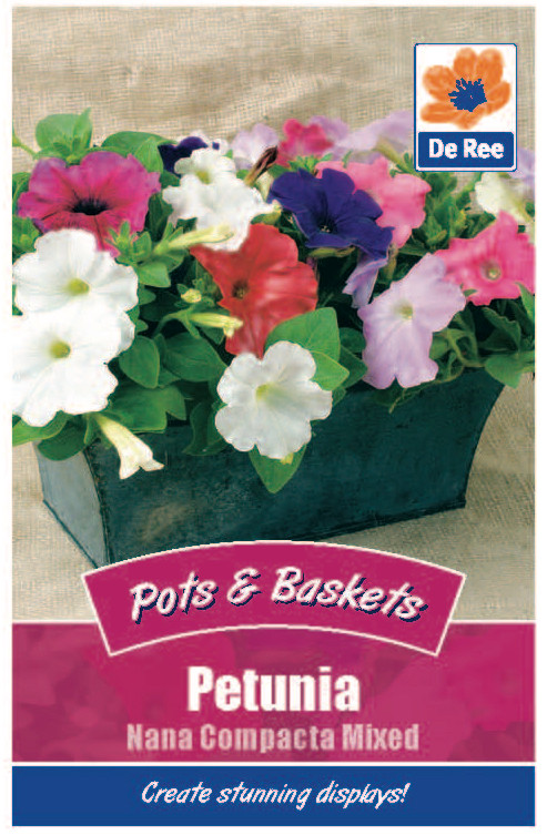 Petunia 'Nana Compacta Mixed' Seeds - Bunkers Hill Plant Nursery