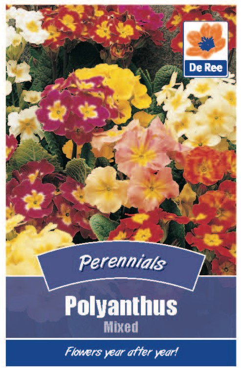 Polyanthus Mixed Seeds - Bunkers Hill Plant Nursery