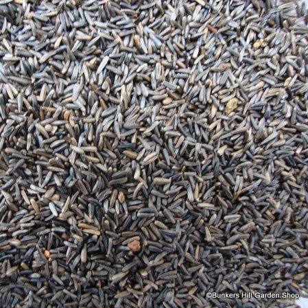 Niger seed - 9kg - Bunkers Hill Plant Nursery