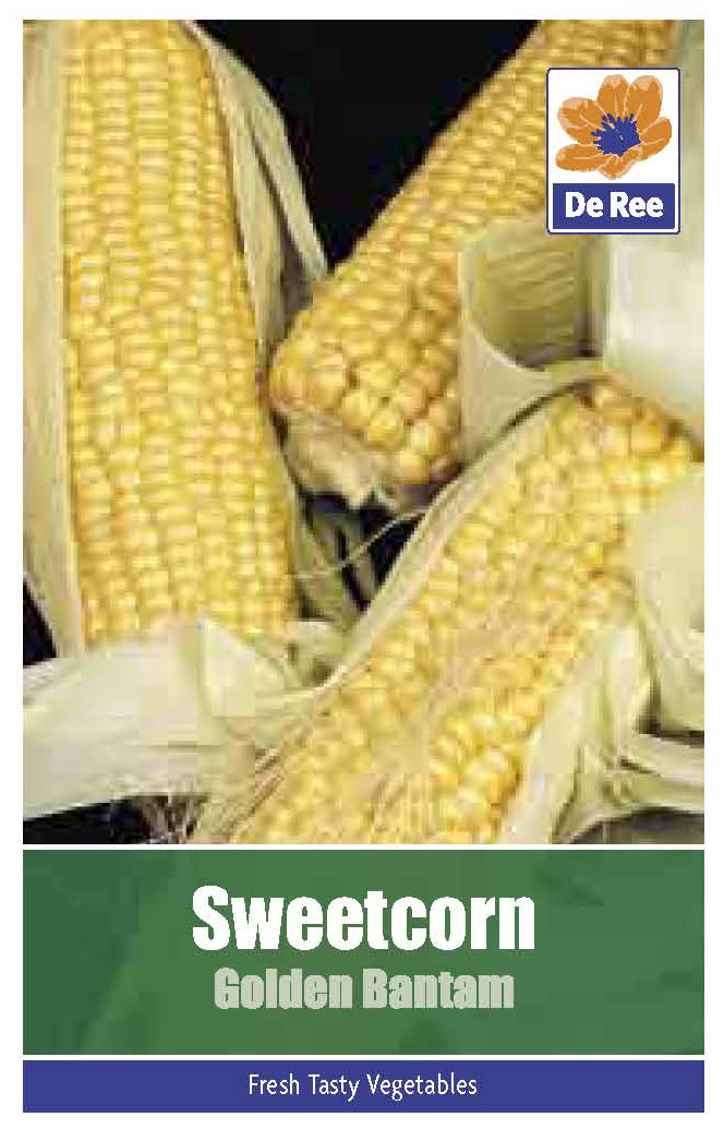 Sweetcorn 'Golden Bantam' Seeds - Bunkers Hill Plant Nursery