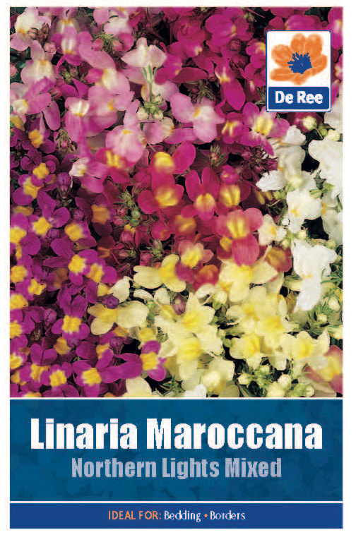 Linaria Maroccana 'Northern Lights Mixed' Seeds - Bunkers Hill Plant ...