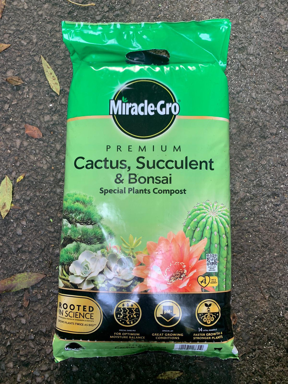 Cactus, Succulent & Bonsai Compost - Bunkers Hill Plant Nursery