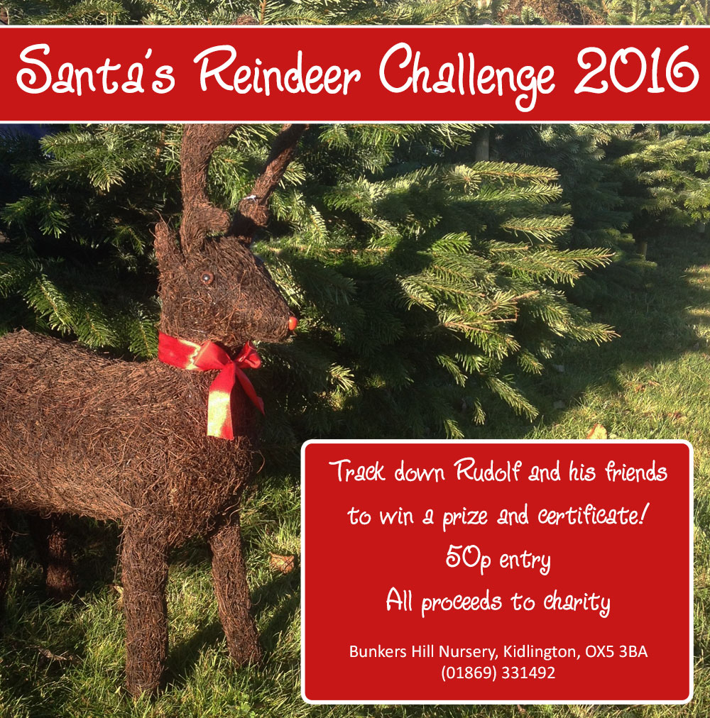 Santa's Reindeer Challenge 2016 - Bunkers Hill Plant Nursery