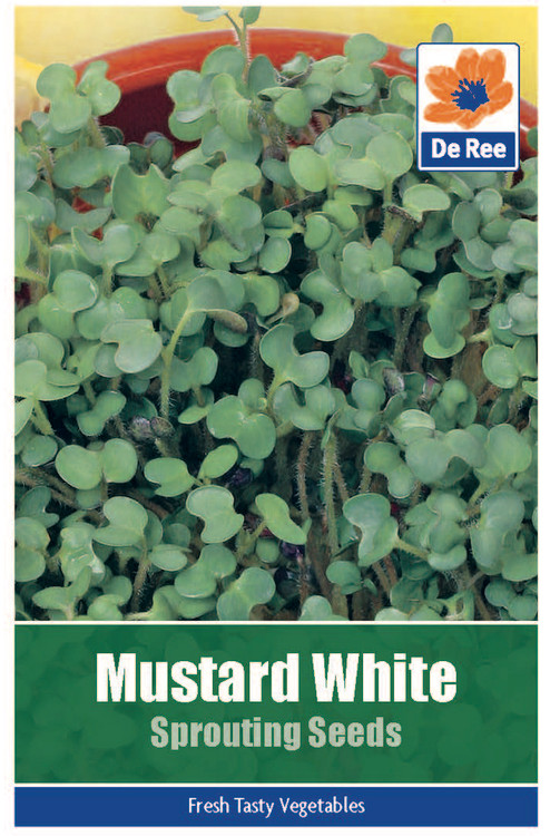 Mustard White Sprouting Seeds - Bunkers Hill Plant Nursery