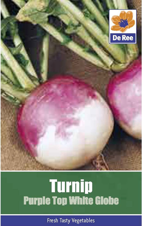 Turnip 'Purple Top' Seeds - Bunkers Hill Plant Nursery