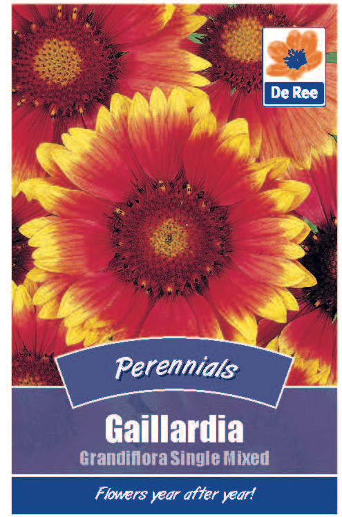 Gaillardia Grandiflora Single Mixed Seeds - Bunkers Hill Plant Nursery