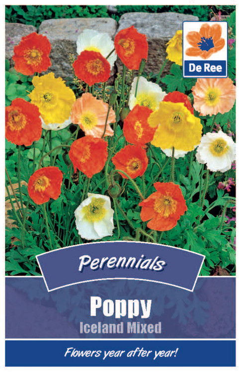 Poppy 'Iceland Mixed' Seeds - Bunkers Hill Plant Nursery