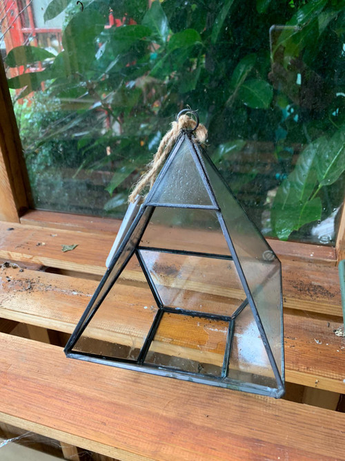 Pyramid Terrarium - Bunkers Hill Plant Nursery