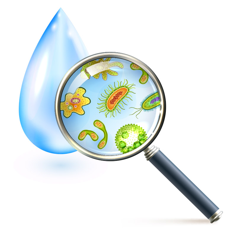What about Viruses in your Water? - Clean Water Revival, Inc.