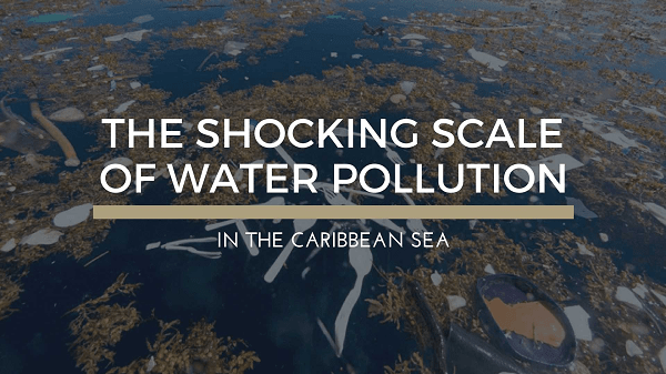 The Shocking Scale of Water Pollution in the Caribbean Sea - Clean ...