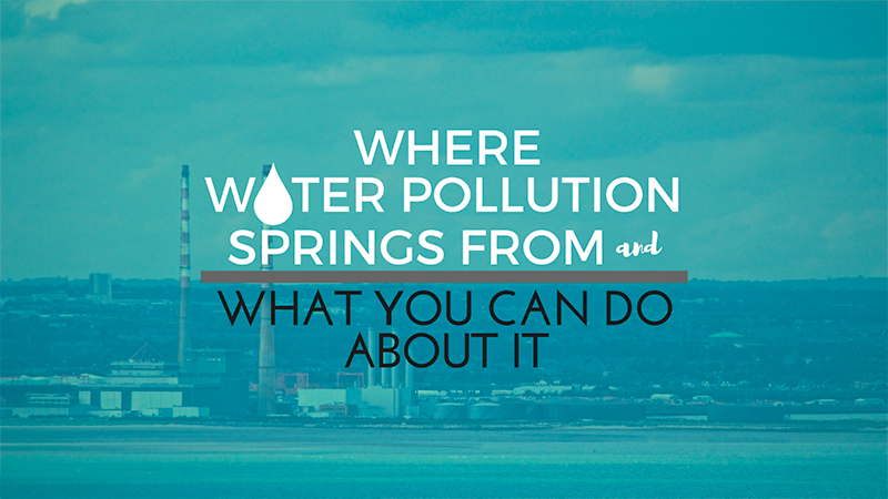 Where Water Pollution Springs From and What You Can Do About It - Clean ...