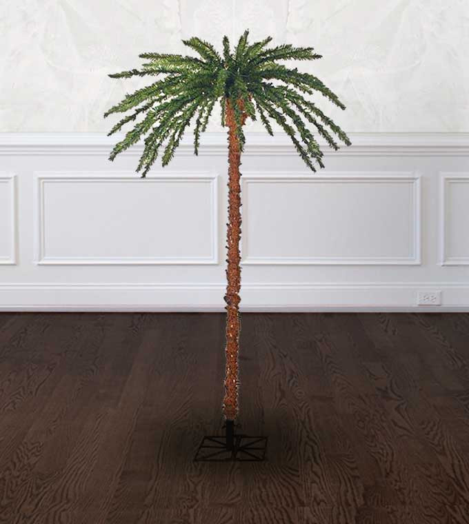 Palm Christmas Tree The Adonidia Palm Often Called "Christmas Palm"
