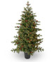 Timberline- Potted Artificial Christmas Trees from Treetime
